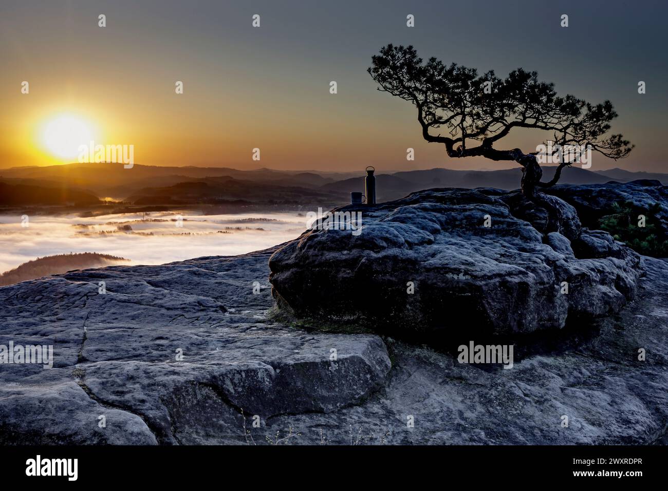 Stone pine tree silhouette hi-res stock photography and images - Alamy