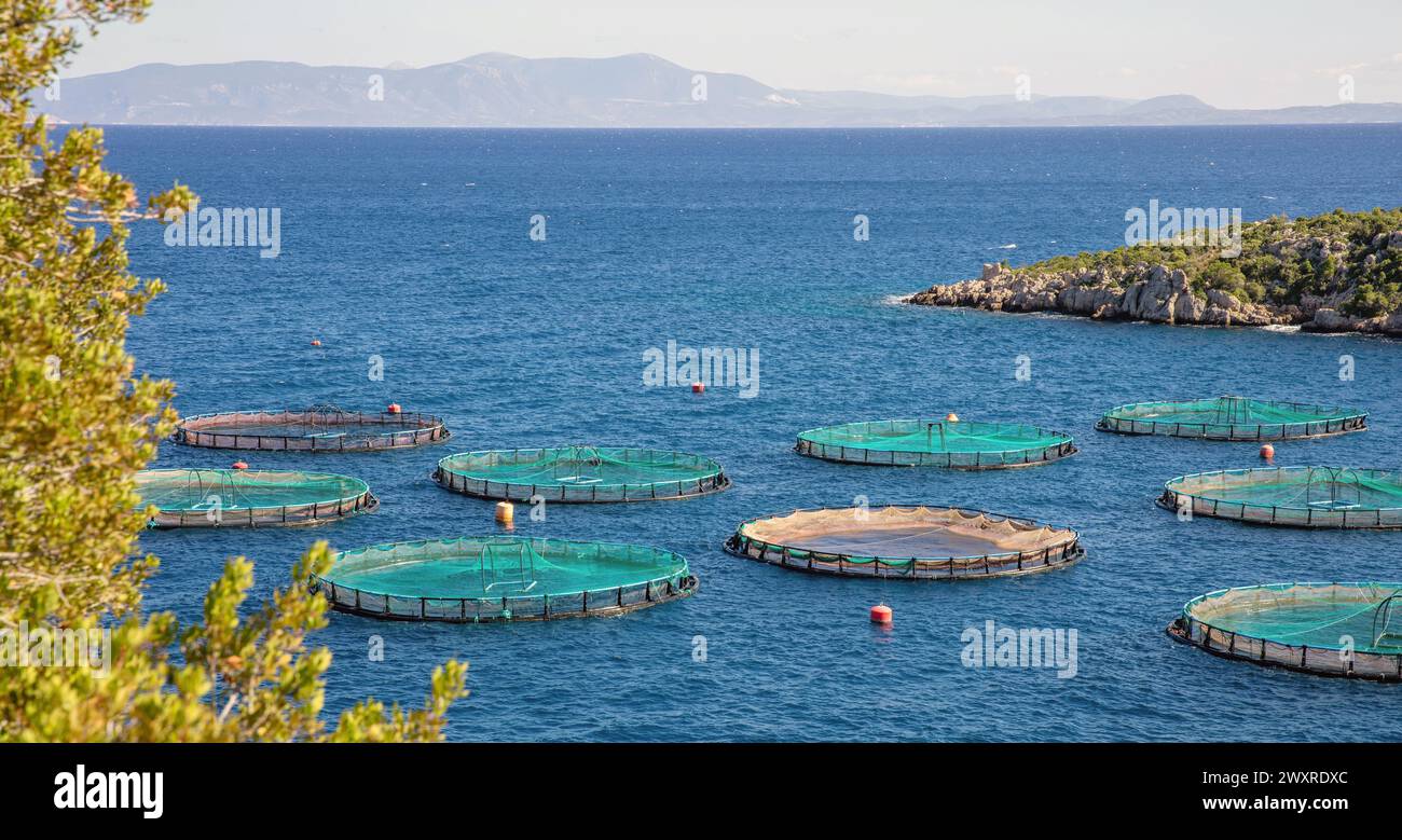 Fish farm in Greece. Aquaculture fish industry, circle cage with ...