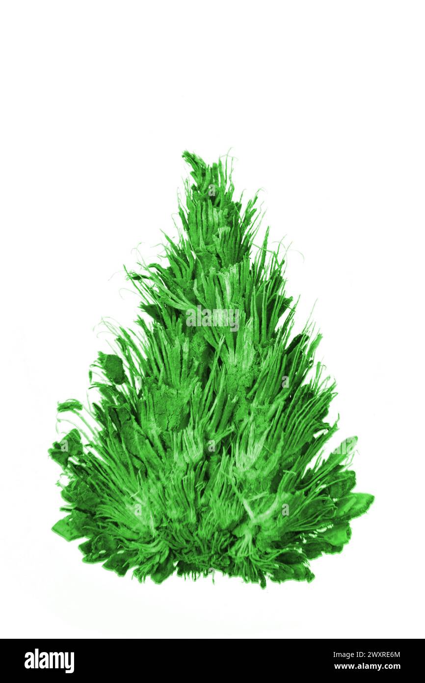 abstract natural christmas tree isolated on the white background Stock ...