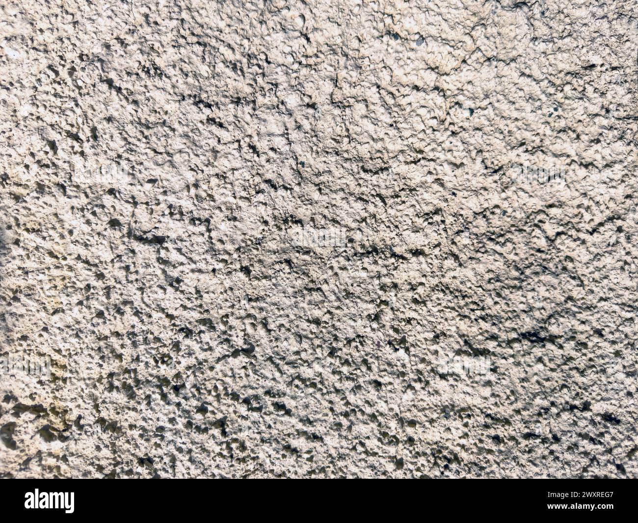 Dry grey mud plaster wall background texture. Empty soil ground ...