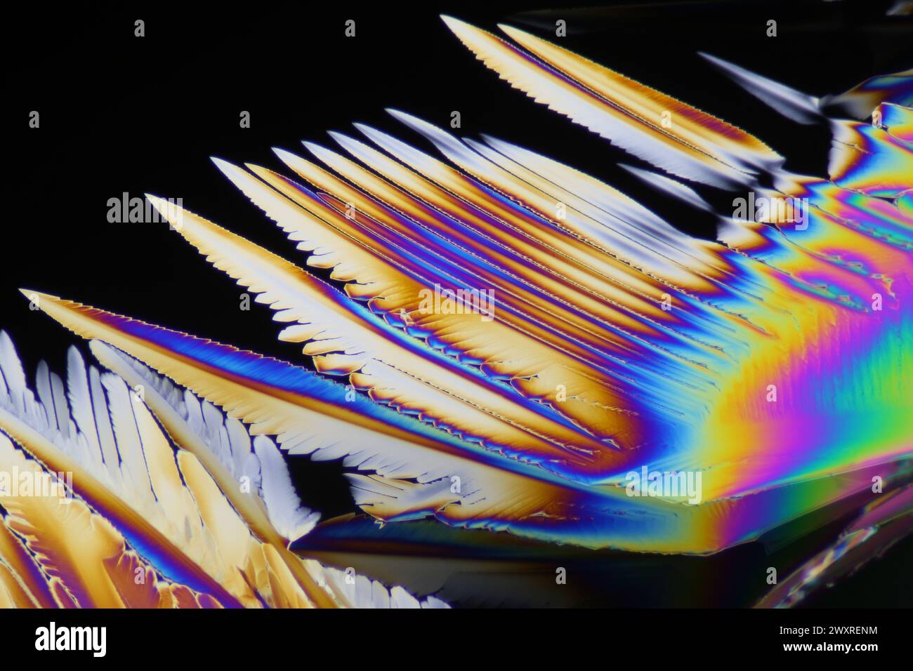 citric acid under microscope Stock Photo - Alamy