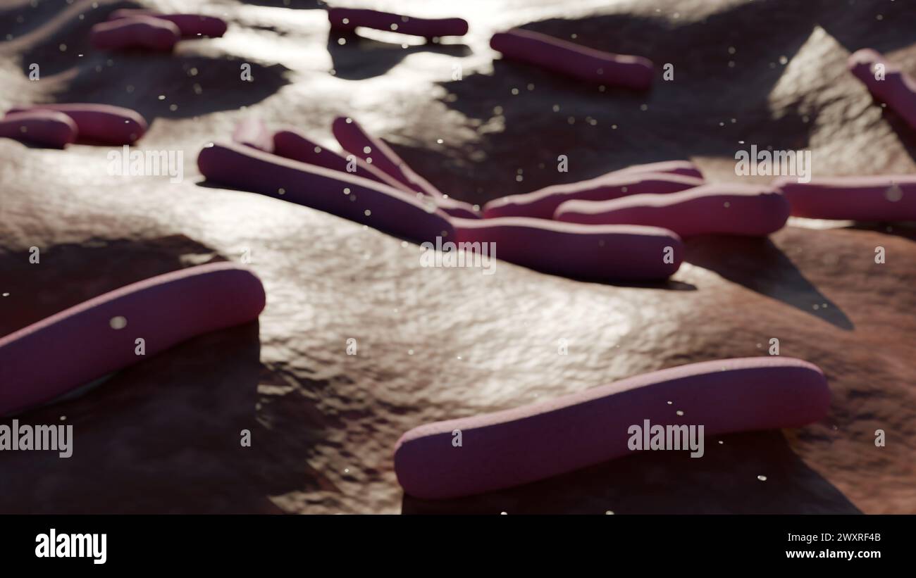 3d animation of Mycobacterium leprae, is a gram-positive bacteria that causes leprosy, also ...