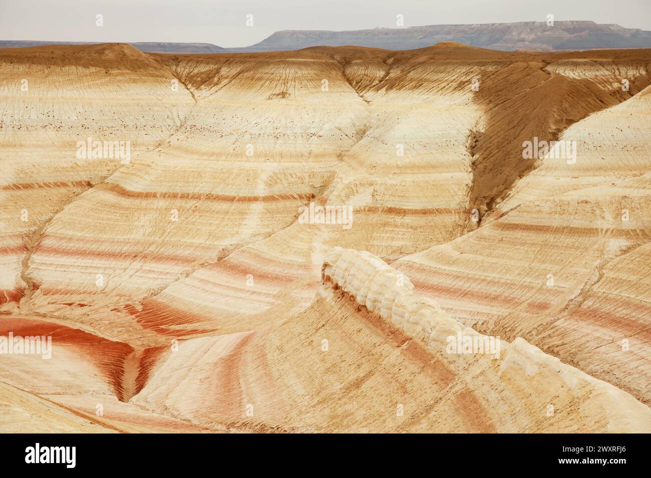 Unique geological feature known as tiger-striped mountains, showcasing ...