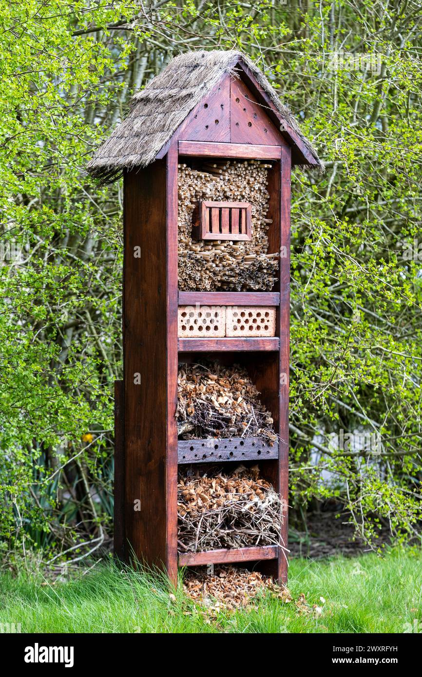 Large bug hotel hi-res stock photography and images - Alamy