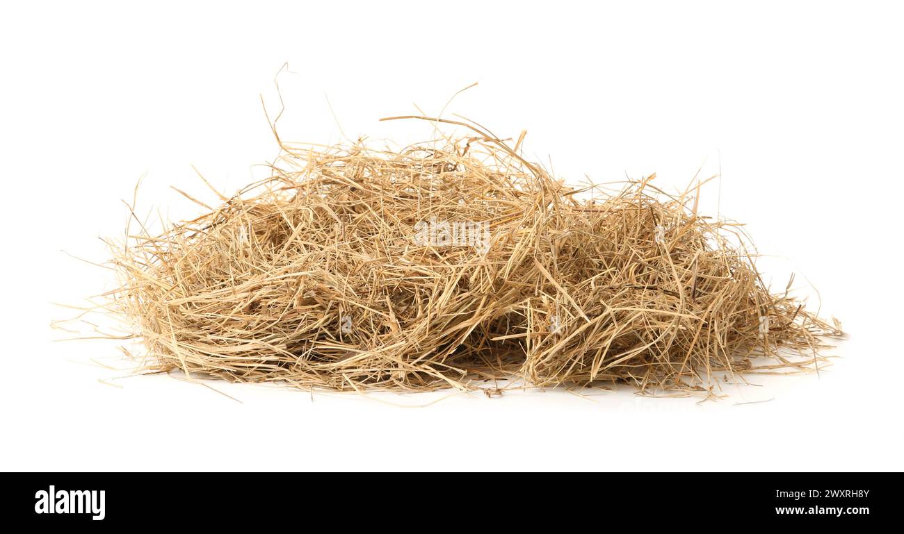 Heap of dried hay on white background Stock Photo - Alamy