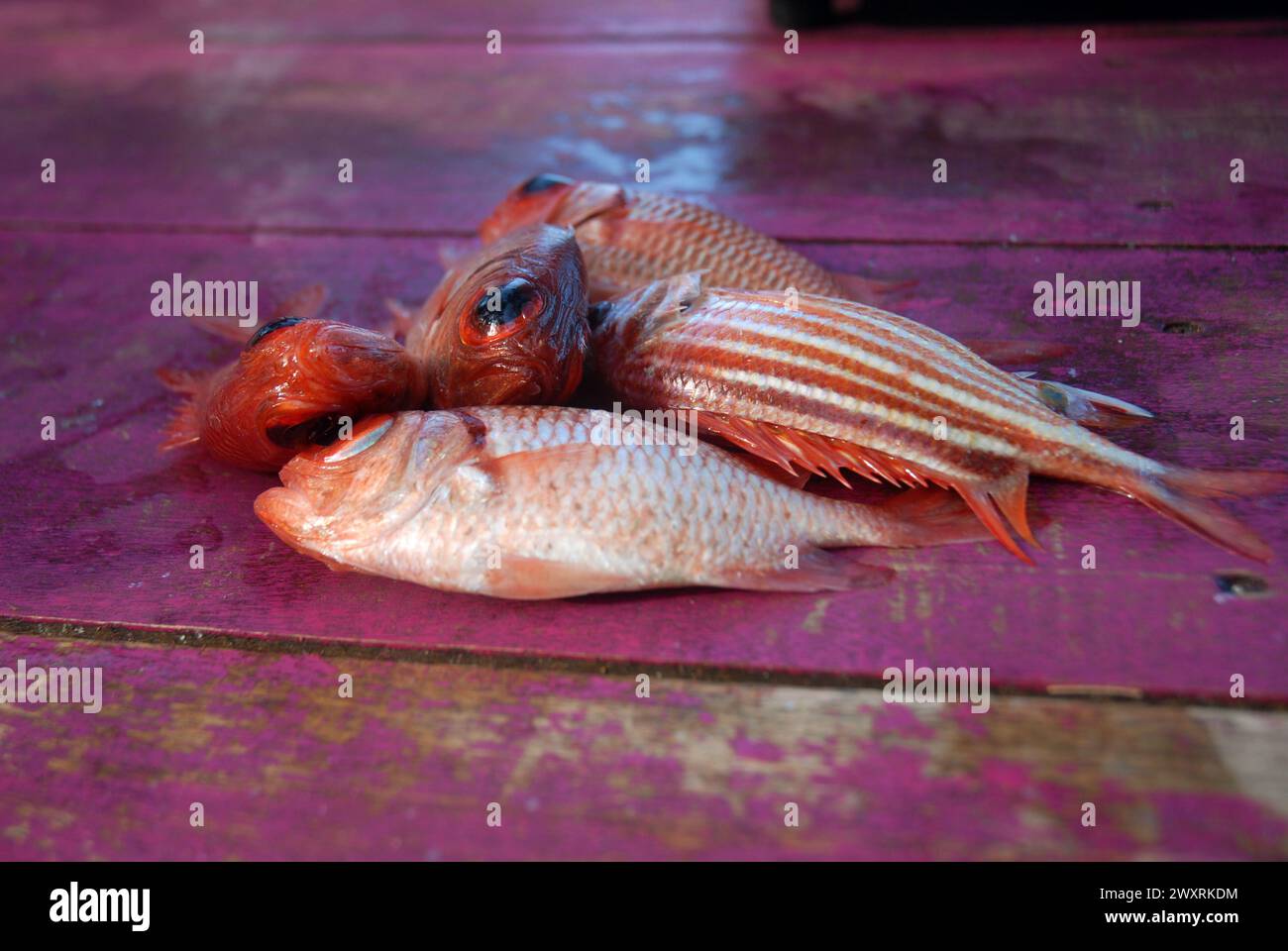 Freshly catch fish on a table at the Fish Market, Naiyang Beach, Phuket ...