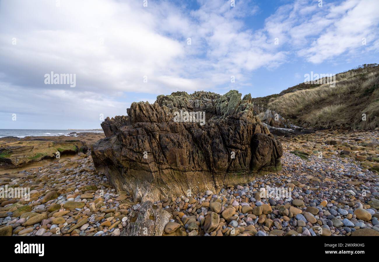 Cummingston Stacks in Moray on the North East coast of Scotland Stock ...
