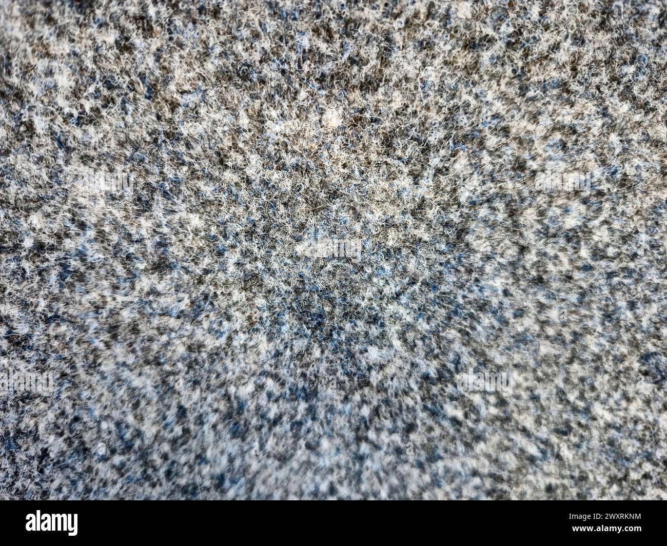 Natural woolen patter close view, wool texture background Stock Photo ...