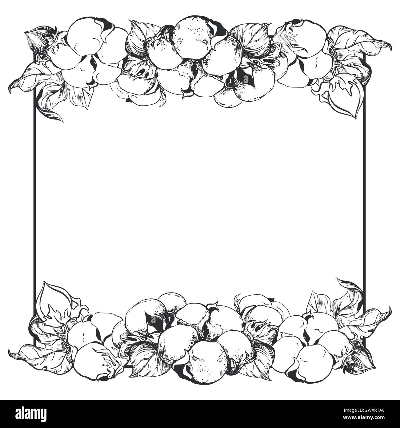 Vector square frame made Black and White Stock Photos & Images - Alamy