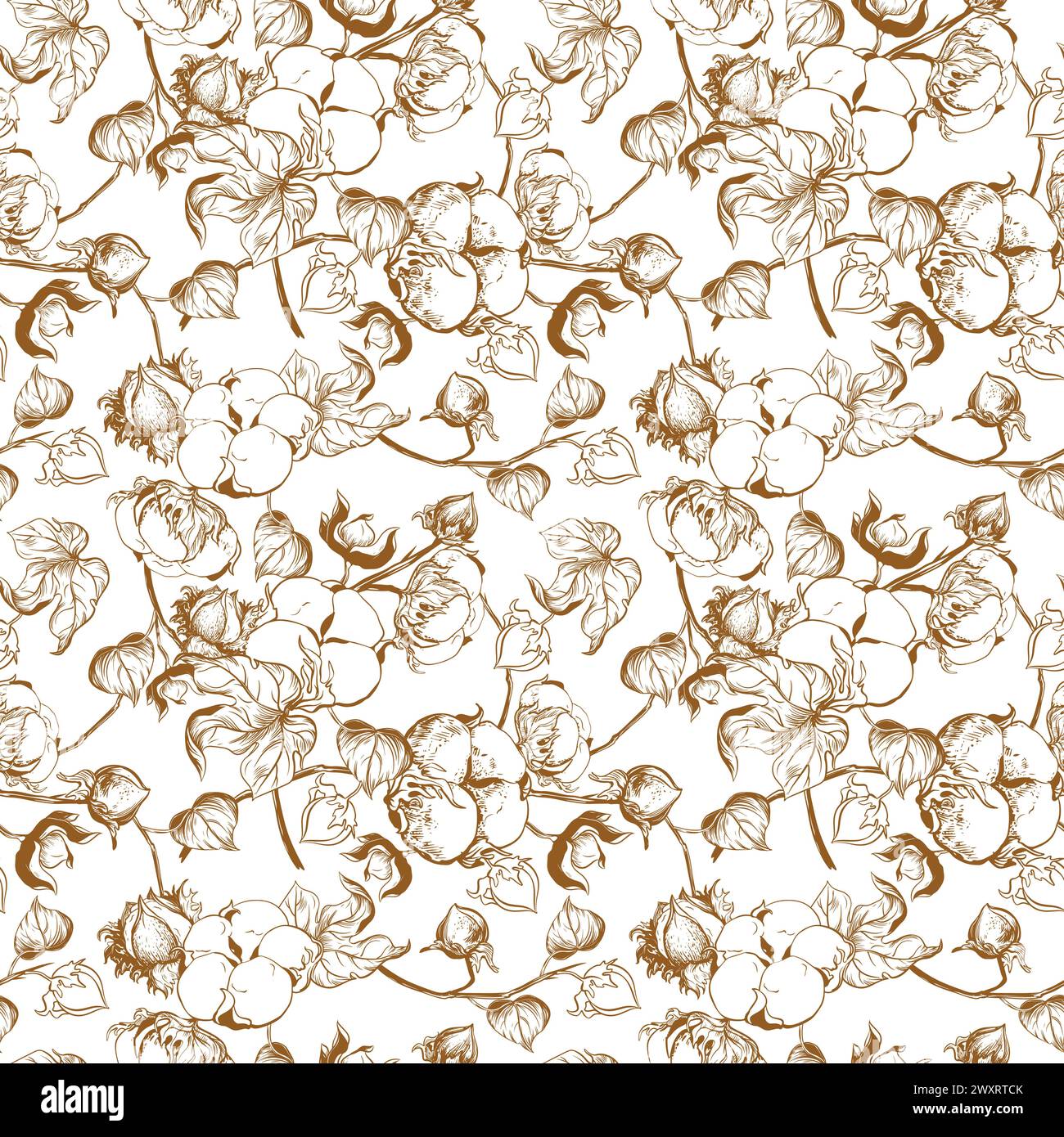 Vector, seamless, black and white pattern of cotton flowers. Botanical ...