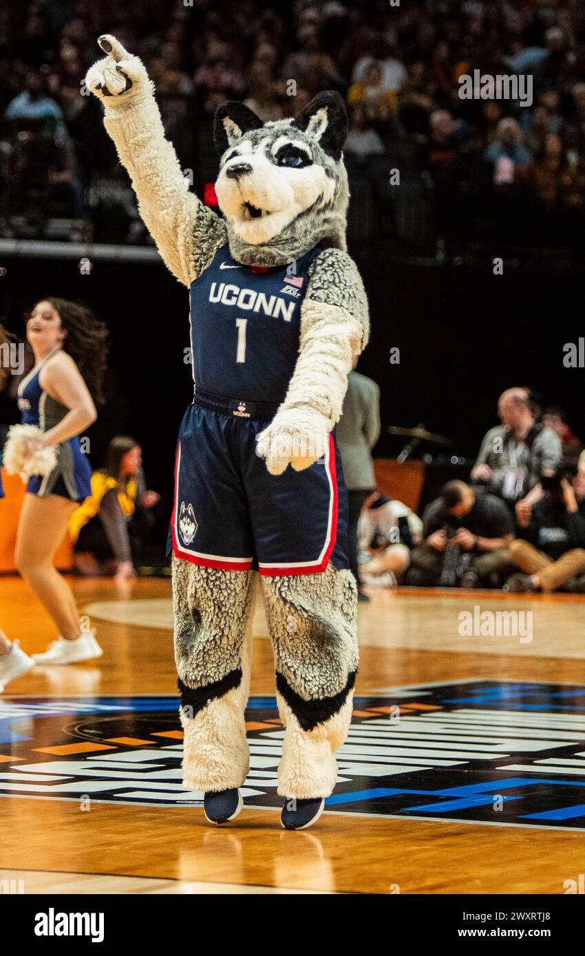 Uconn women’s basketball mascot hi-res stock photography and images - Alamy