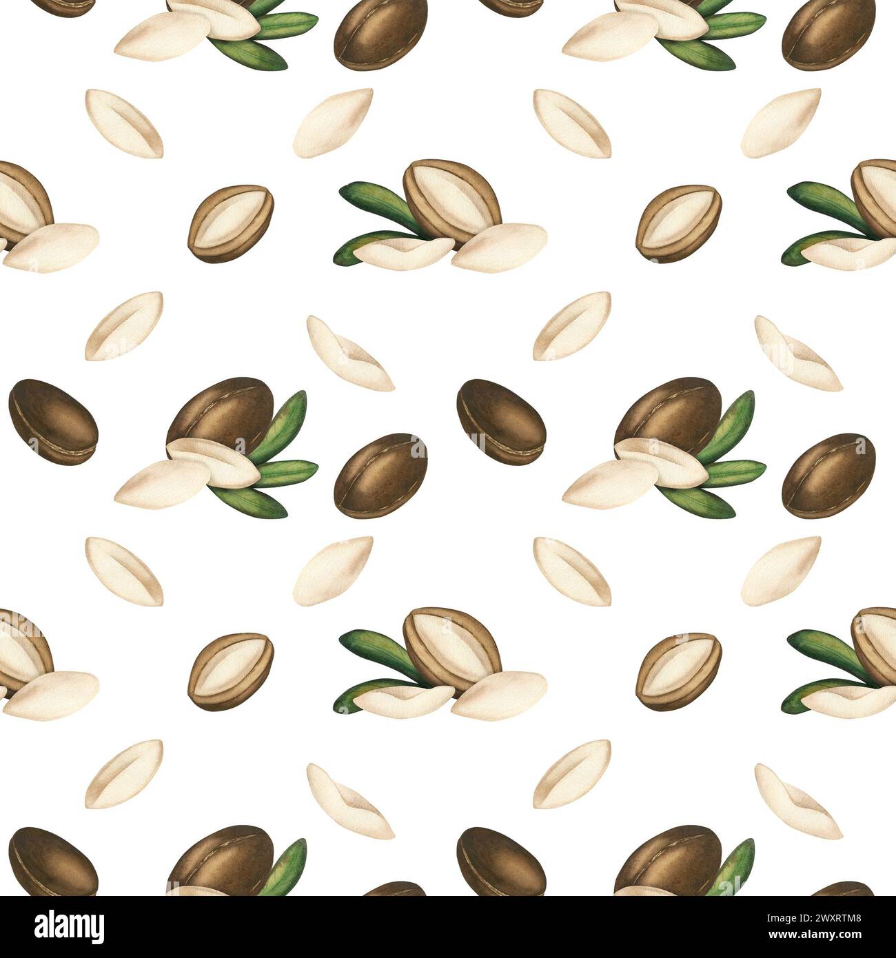 Seamless pattern of Argan tree seeds. Brown Argan nut with leaves ...
