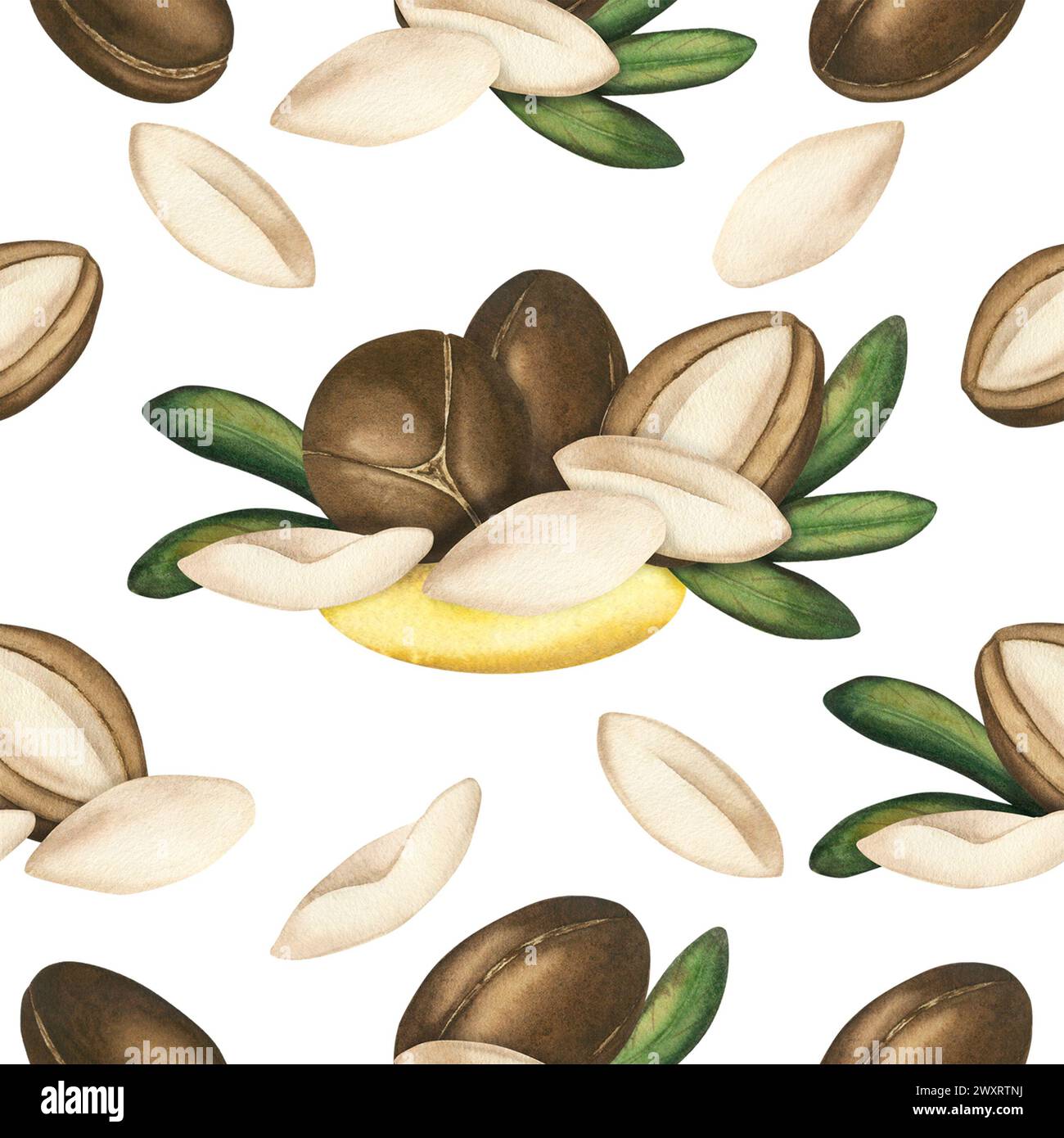 Seamless pattern of Argan tree seeds. Brown Argan nut with leaves ...