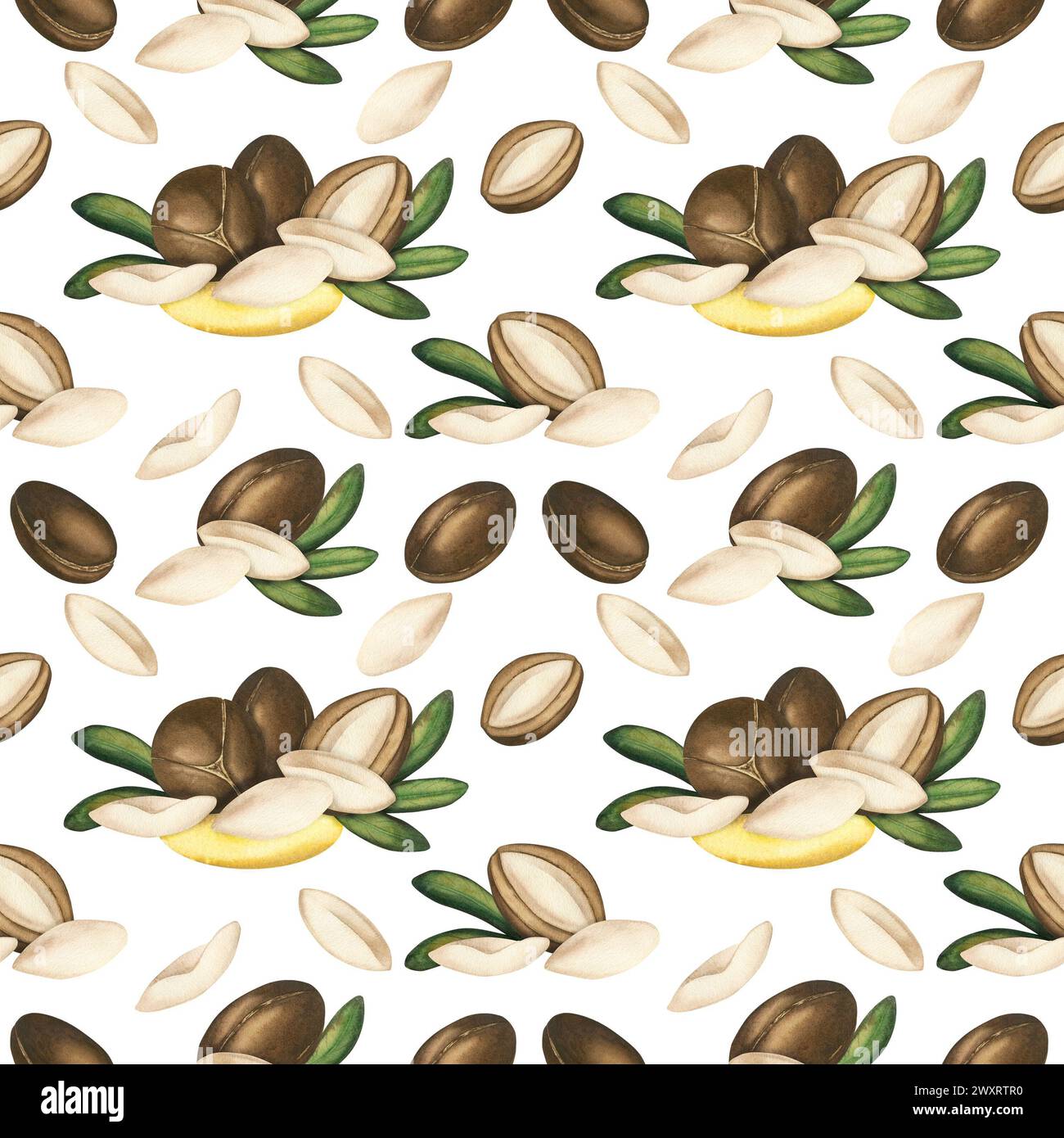 Seamless pattern of Argan tree seeds. Brown Argan nut with leaves ...