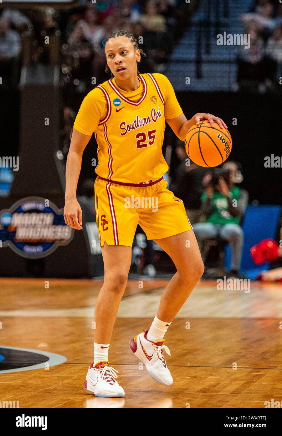 2024 0090 jpg hi-res stock photography and images - Alamy