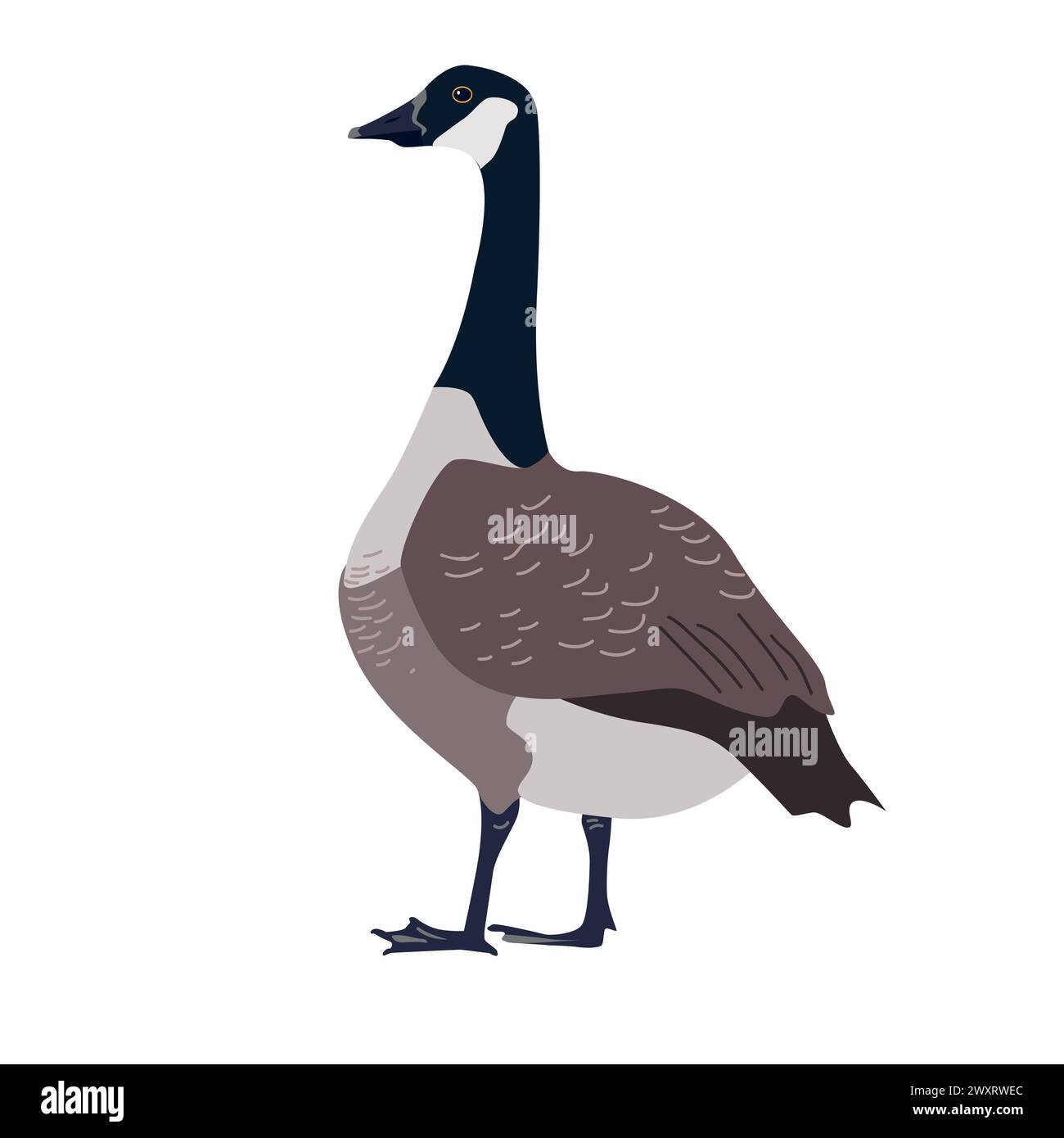 Canadian zoo Stock Vector Images - Alamy