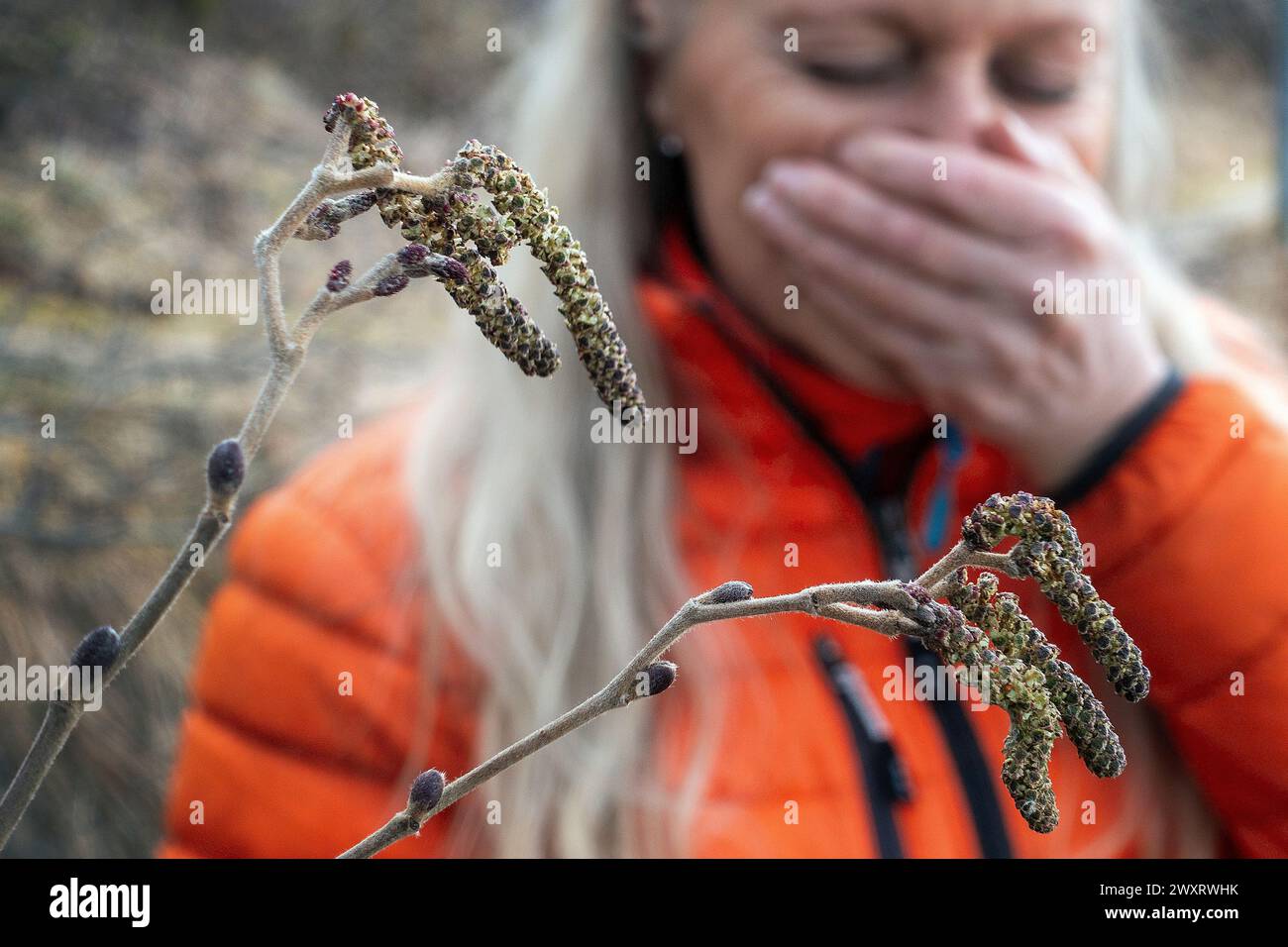 Plants proteins hi-res stock photography and images - Alamy