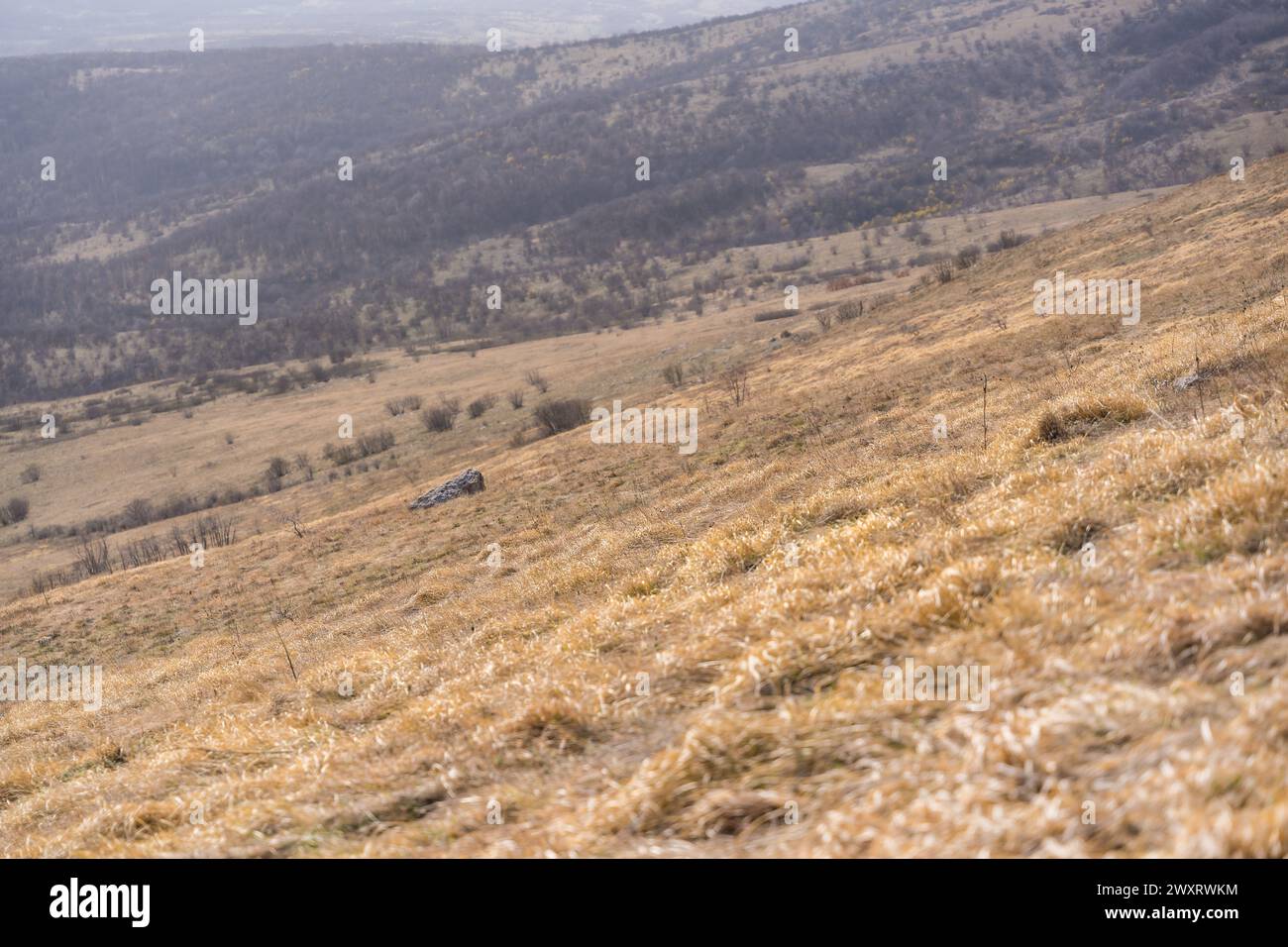 Details of the nature and natural state of the Rtanj mountain in ...