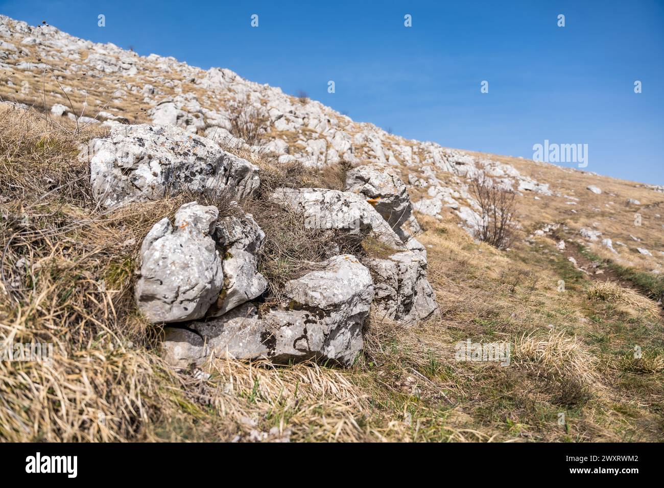 Details of the nature and natural state of the Rtanj mountain in ...