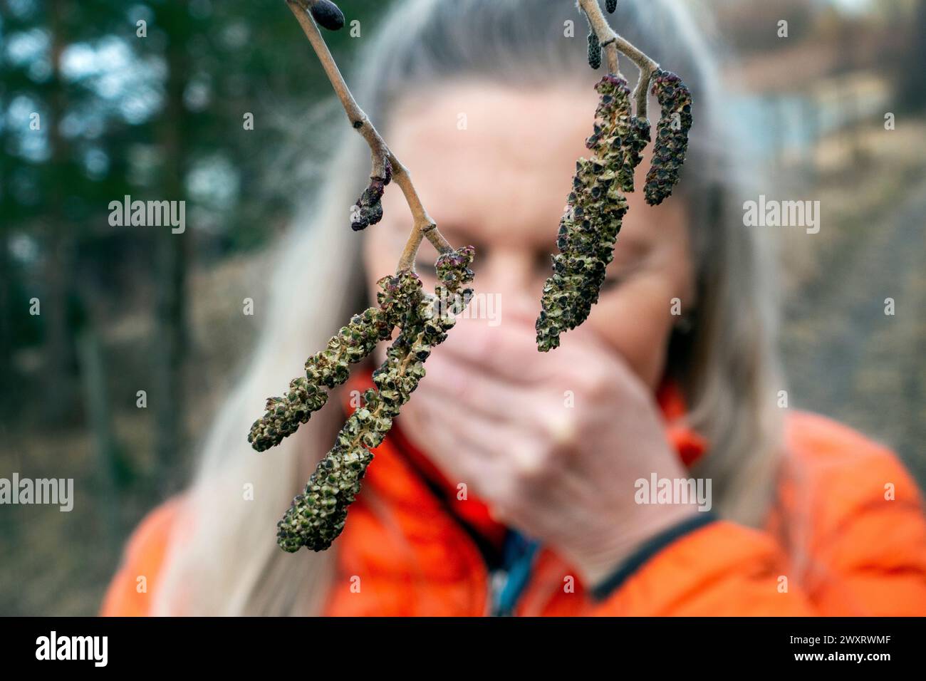 Plants proteins hi-res stock photography and images - Alamy