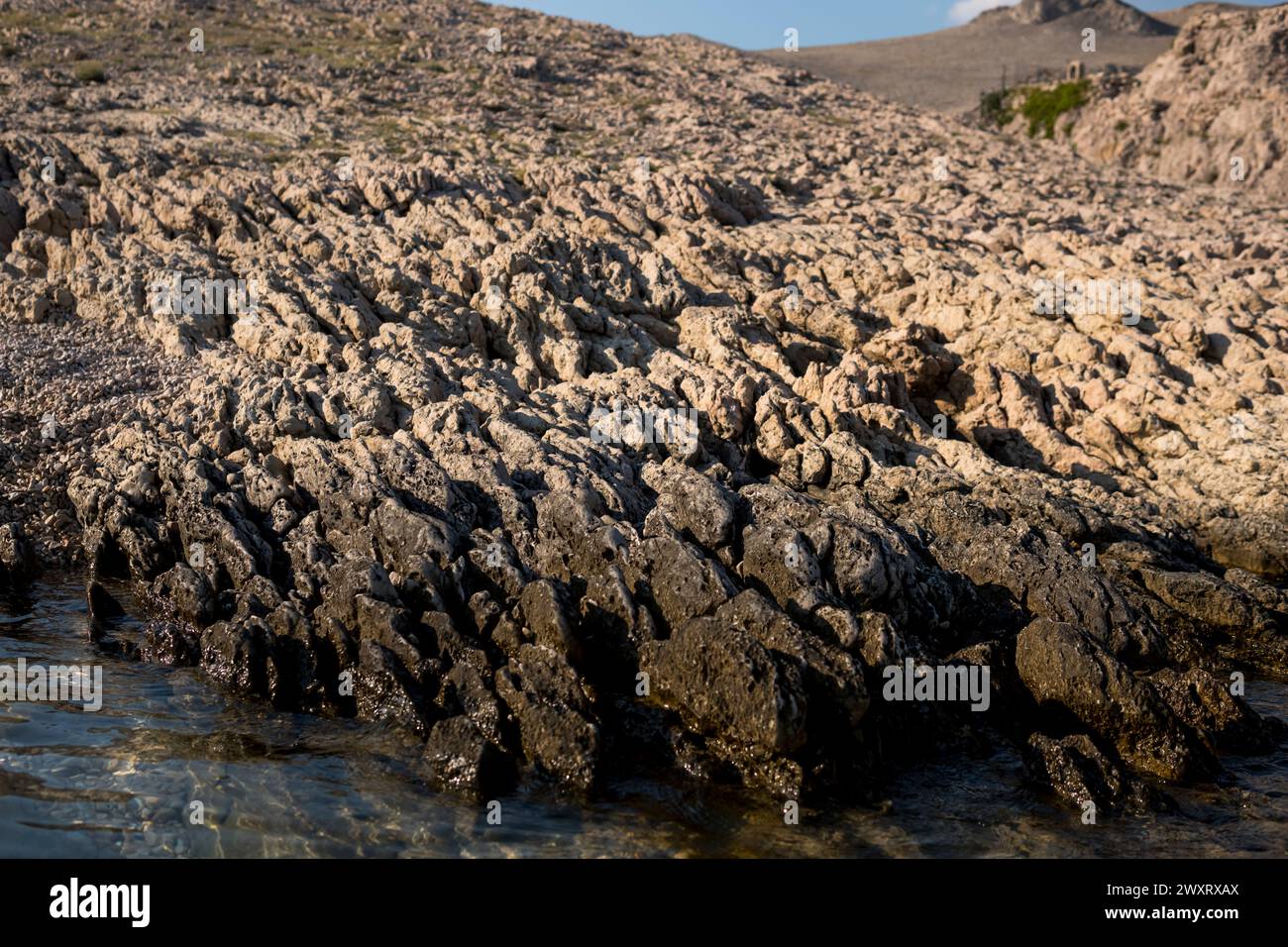 Limestone pavemant on the island of Pag near Rucica Beach as an effect ...