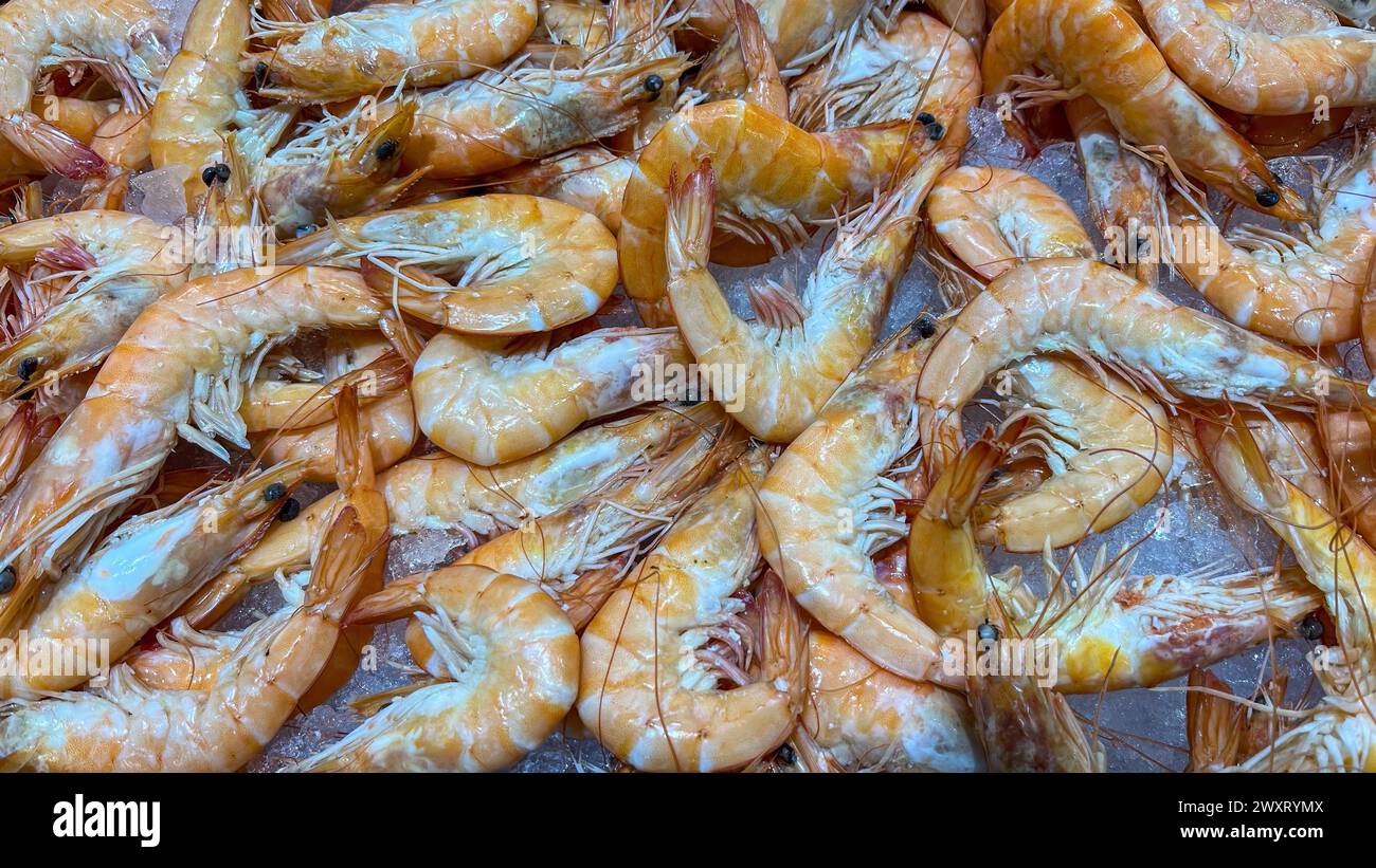 Cooked prawns at the market ready to take away Stock Photo - Alamy