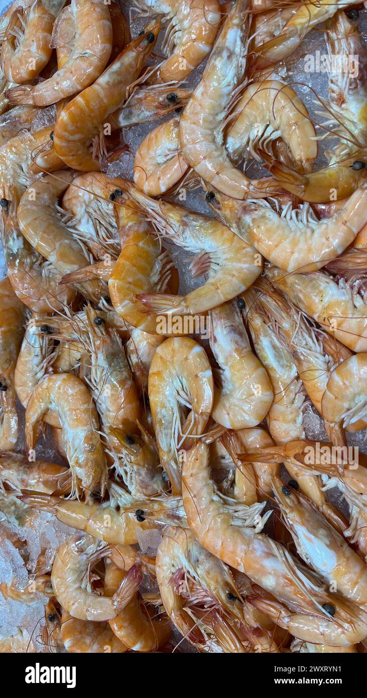 Cooked prawns at the market ready to take away Stock Photo - Alamy