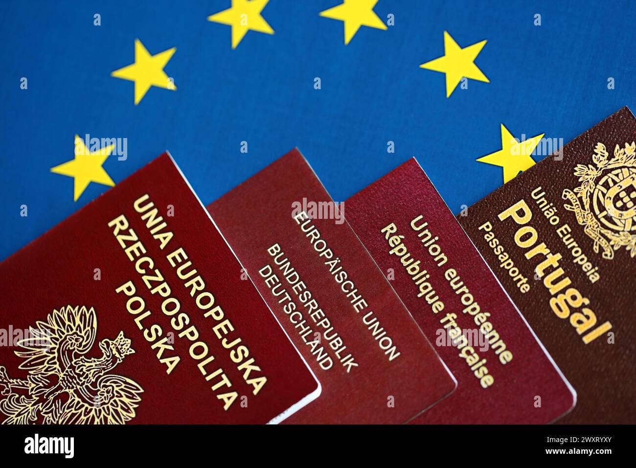European union countries passports on blue EU flag close up. Portugal ...