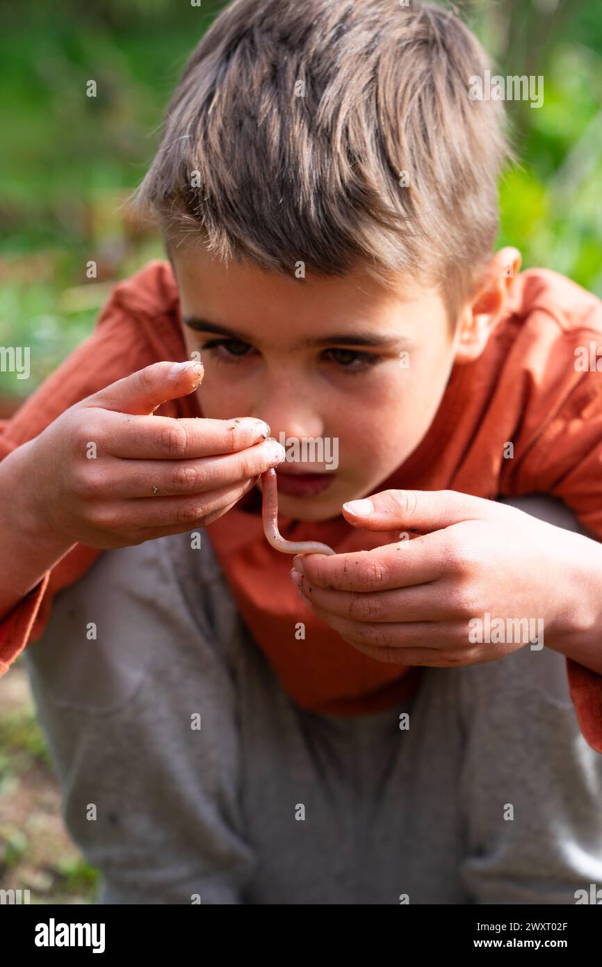 Boy looking at a worm in his hands Stock Photo - Alamy