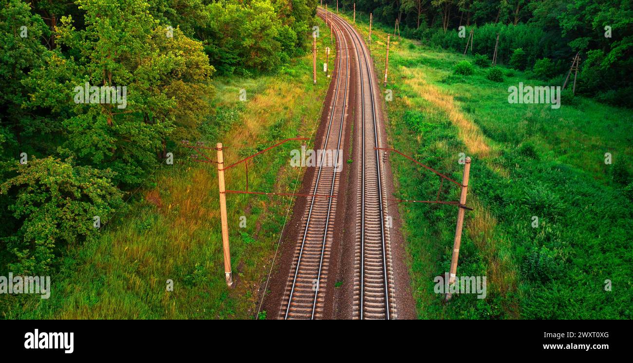 Nature's Pathways: Railway Tracks Meandering Through Summer Forests ...