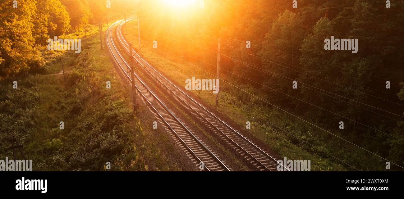 Sunrise Serenity: Railway Tracks in the Summer Forest Stock Photo - Alamy