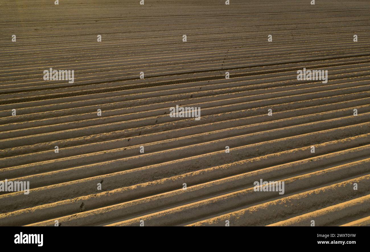Planting Grounds: Tilled Soil Ready for Crops Stock Photo - Alamy