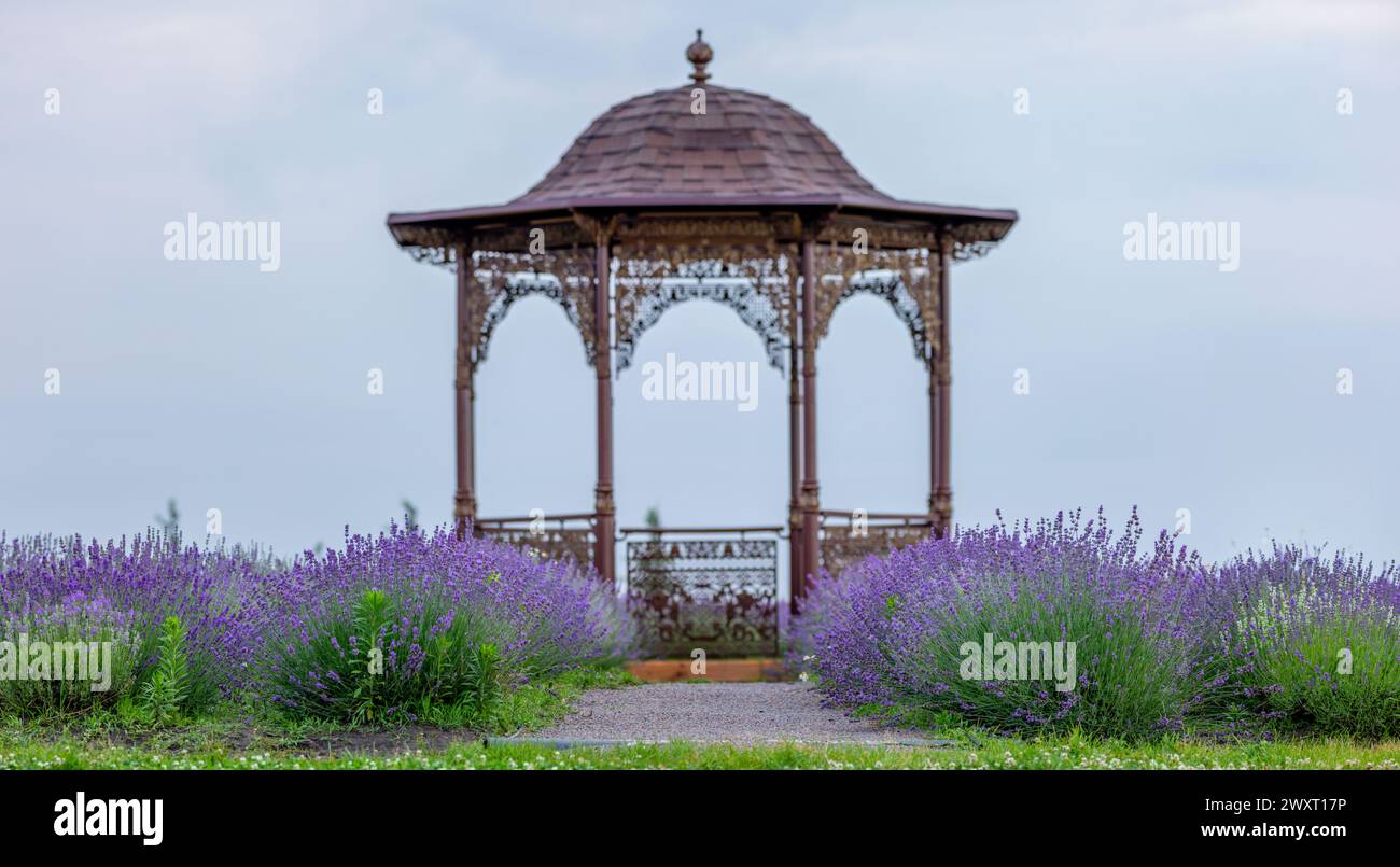 Waterbound Tranquility: Gazebo Accessed by Bridge Over Water Stock ...