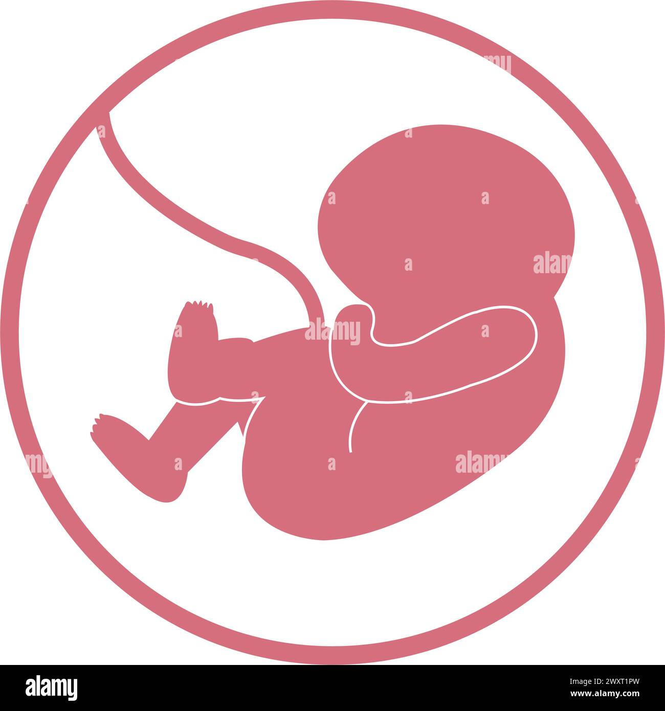 fetus icon vector illustration simple design Stock Vector Image & Art ...