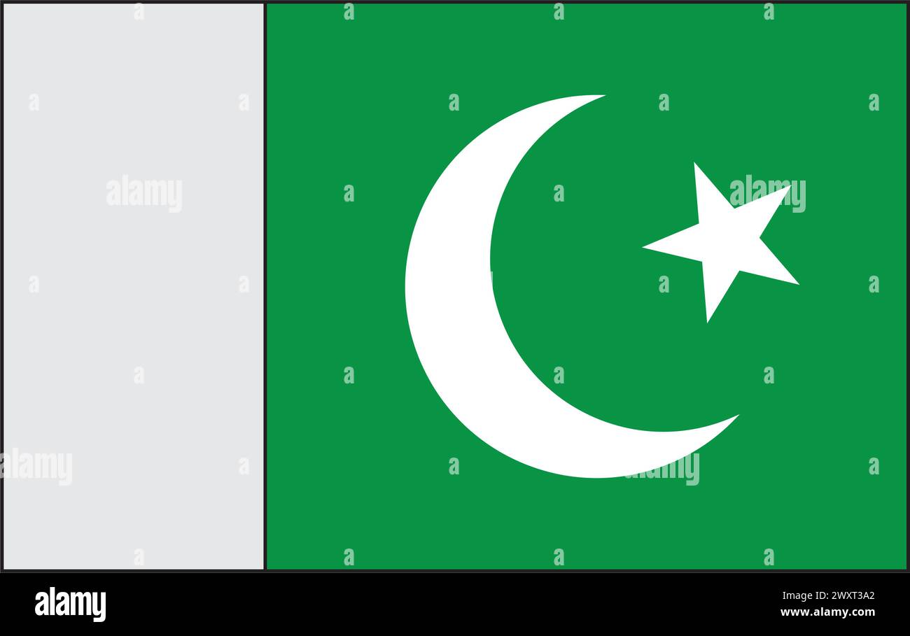 Pakistani flag icon vector illustration symbol design Stock Vector ...