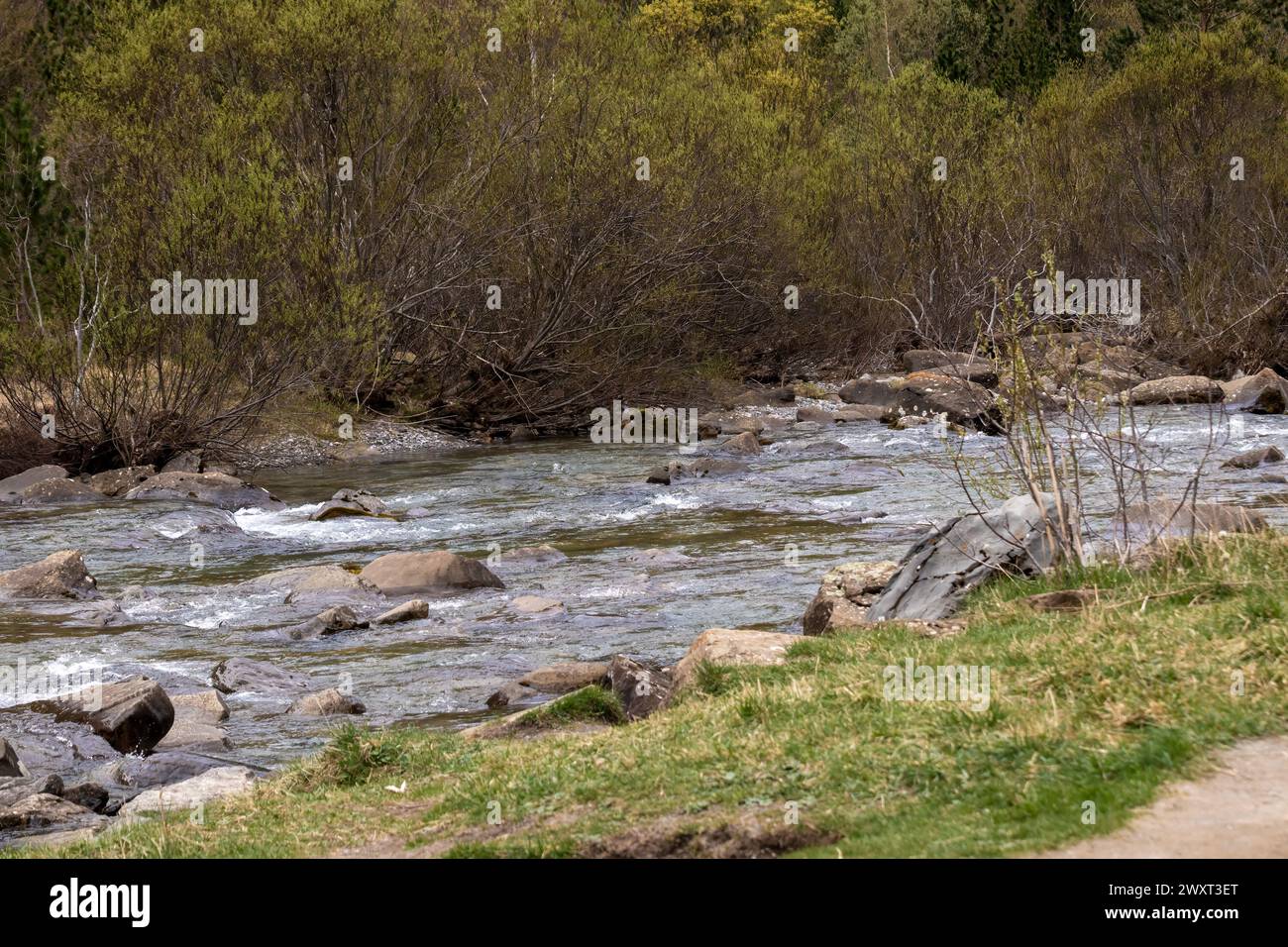 serene river flowing amidst rocks and lush greenery under a clear sky ...