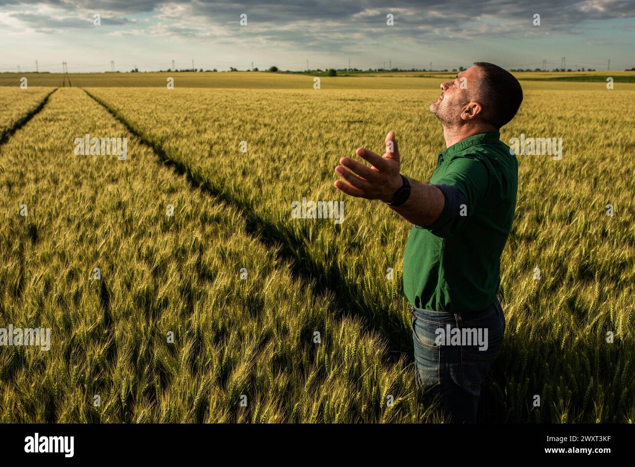 Inspection of arms hi-res stock photography and images - Alamy