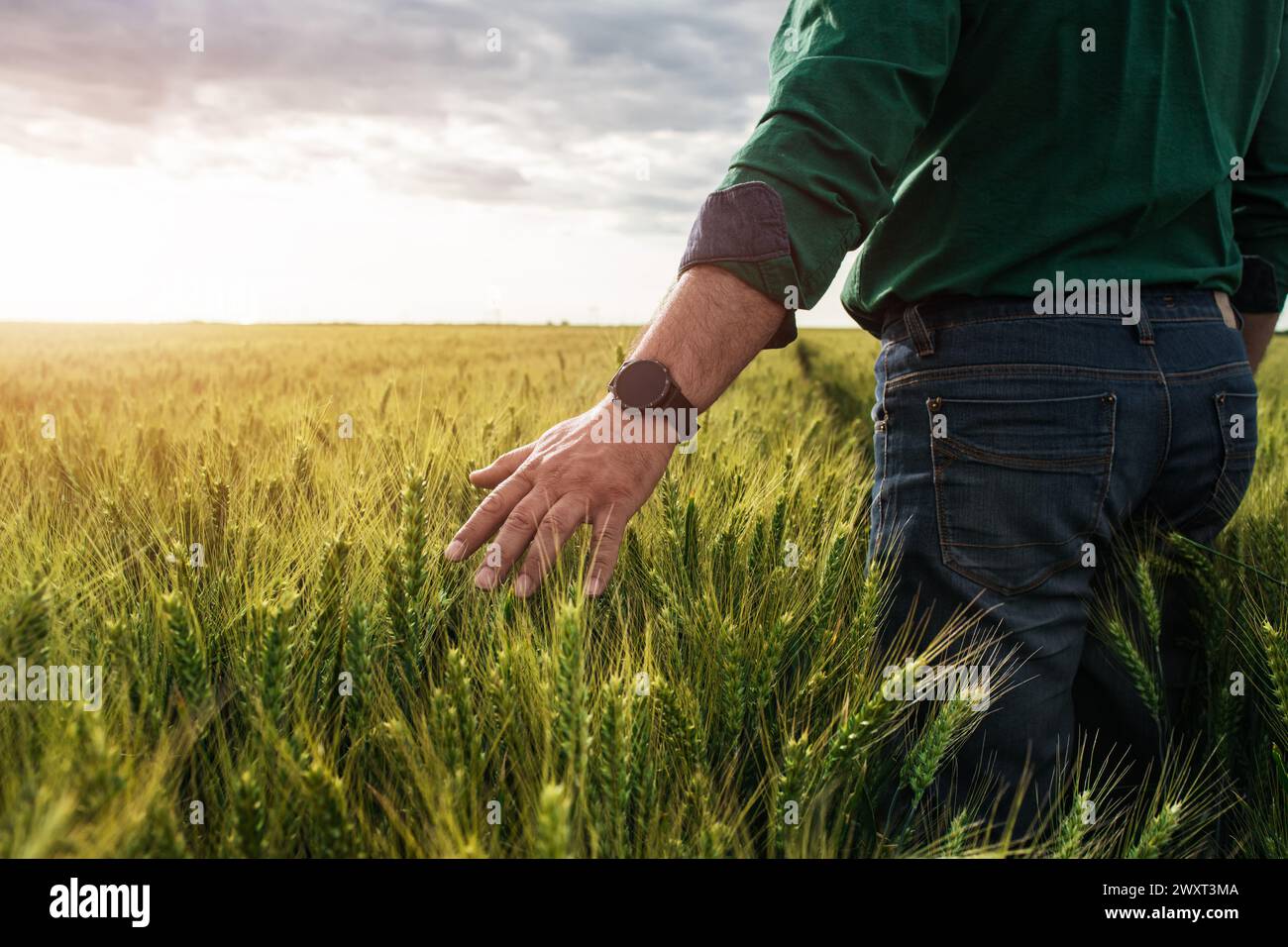 Farmer wheat hi-res stock photography and images - Alamy