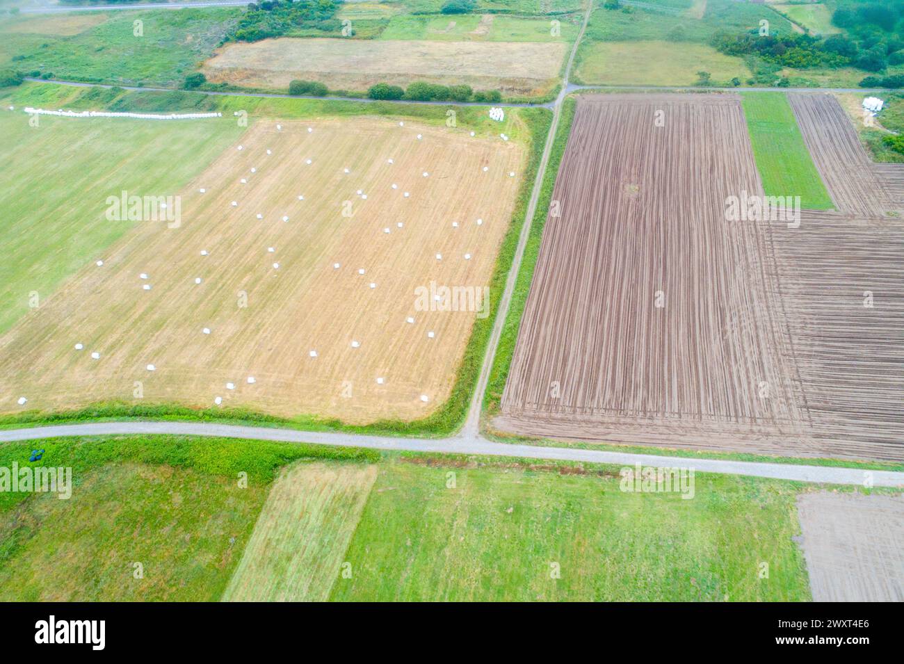 aerial view of agricultural fields, one field plowed for planting and ...