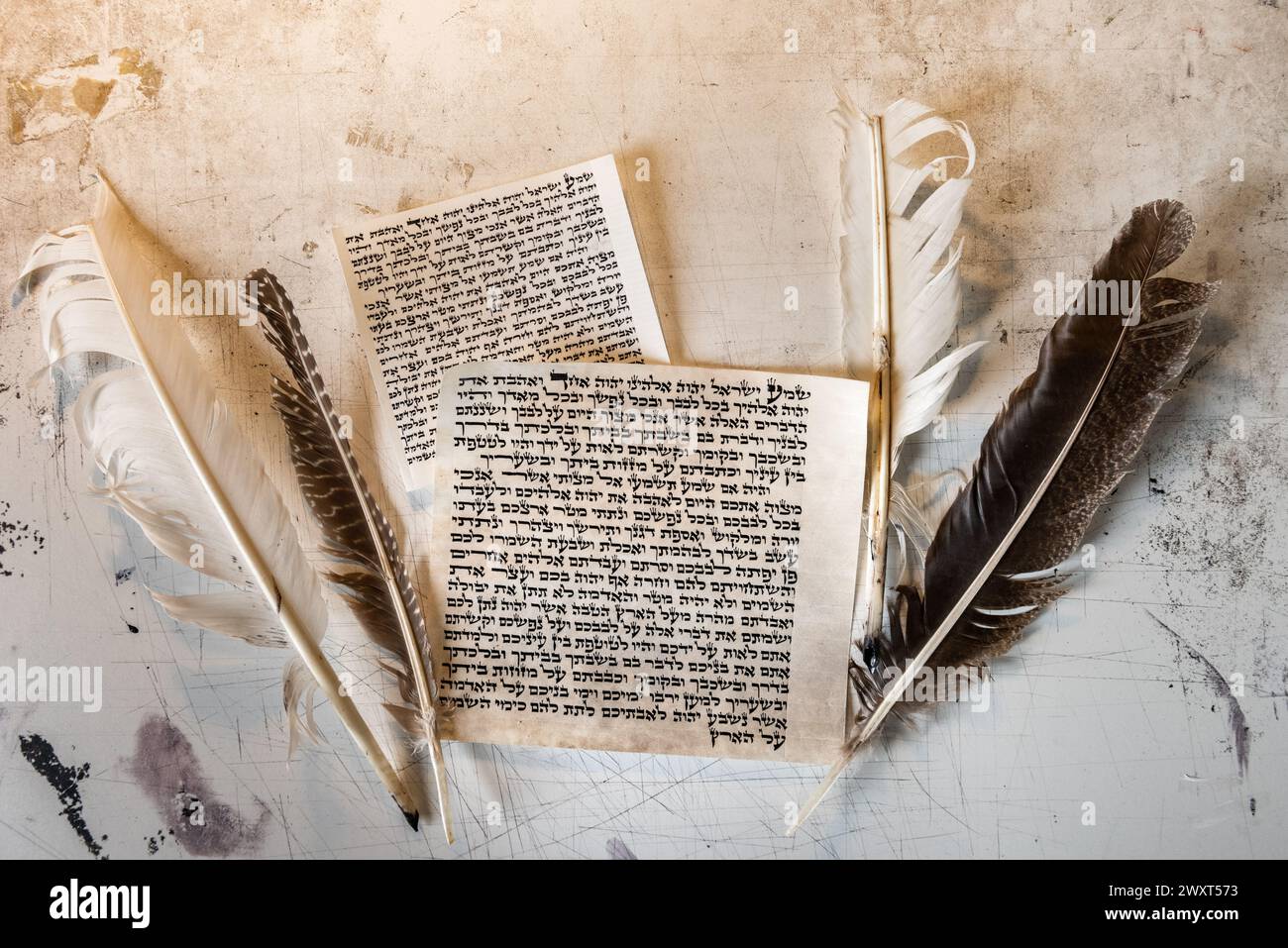 Quill Font Pictures Quill Scroll Hi Res Stock Photography And Images