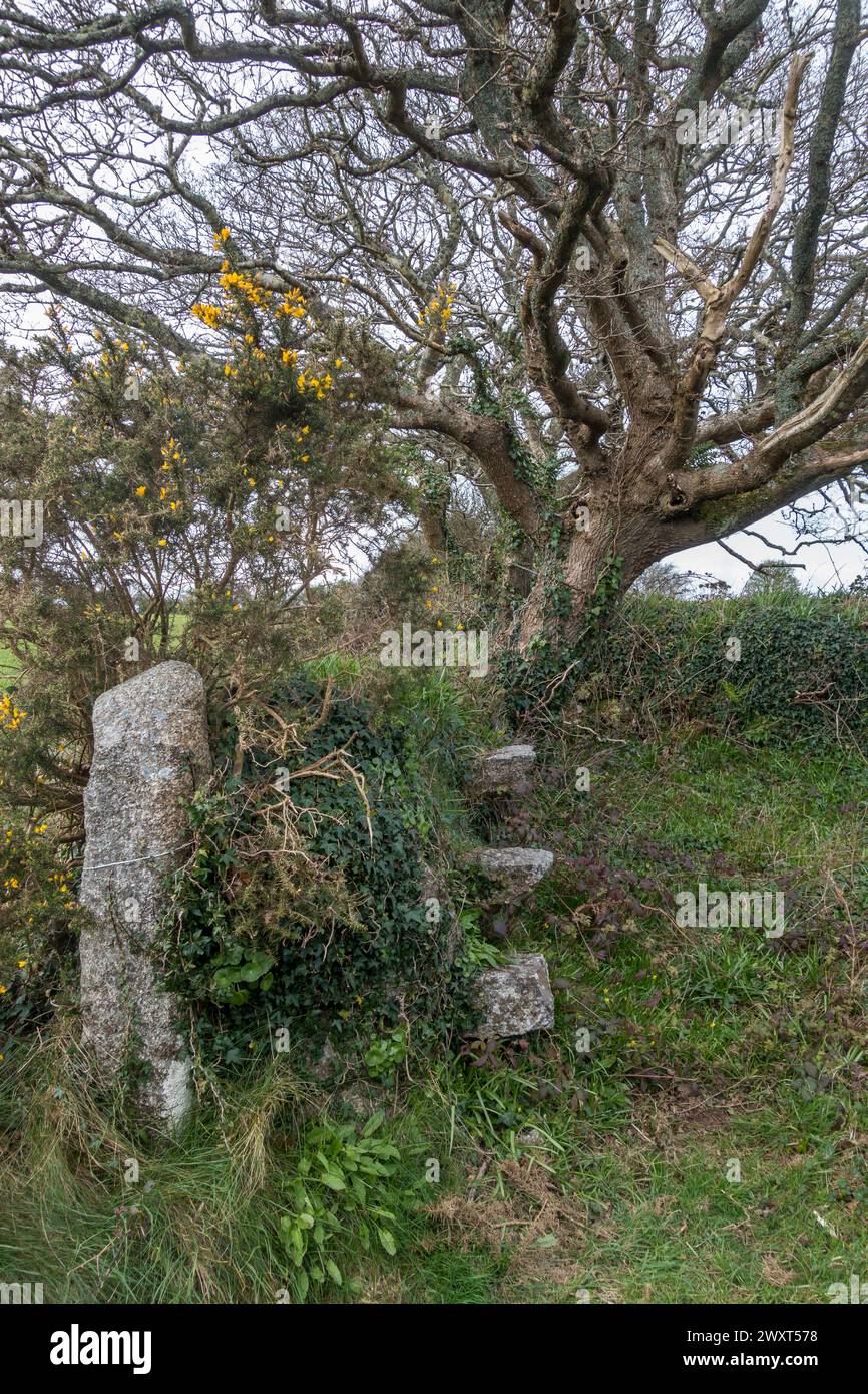 A traditional Cornish 'sheep stile', with stone treads or steps set ...