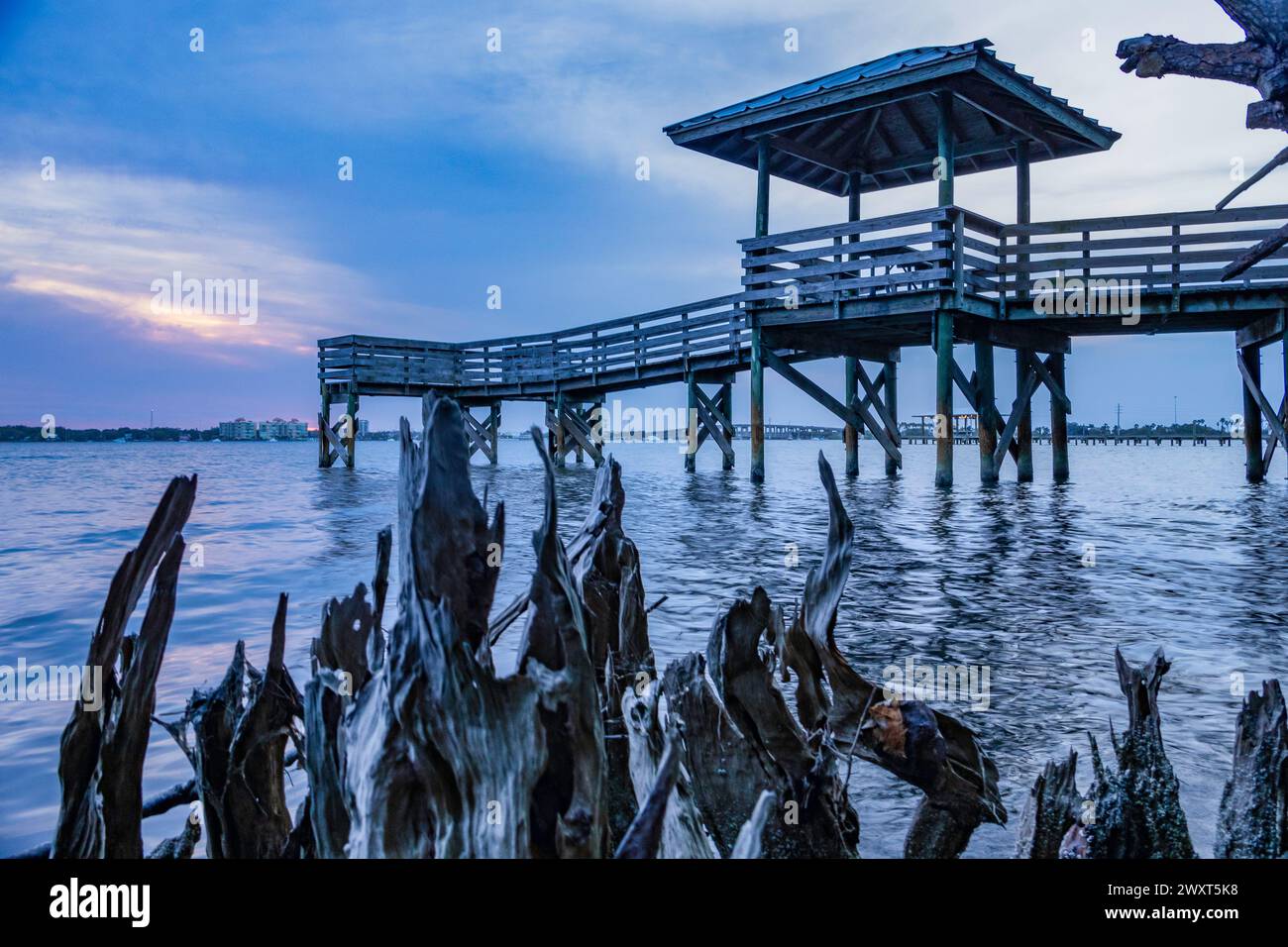 Scary tree hi-res stock photography and images - Alamy