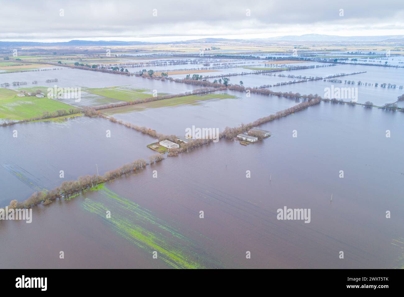 crop fields flooded by spring rains in the region of A Limia, Galicia ...