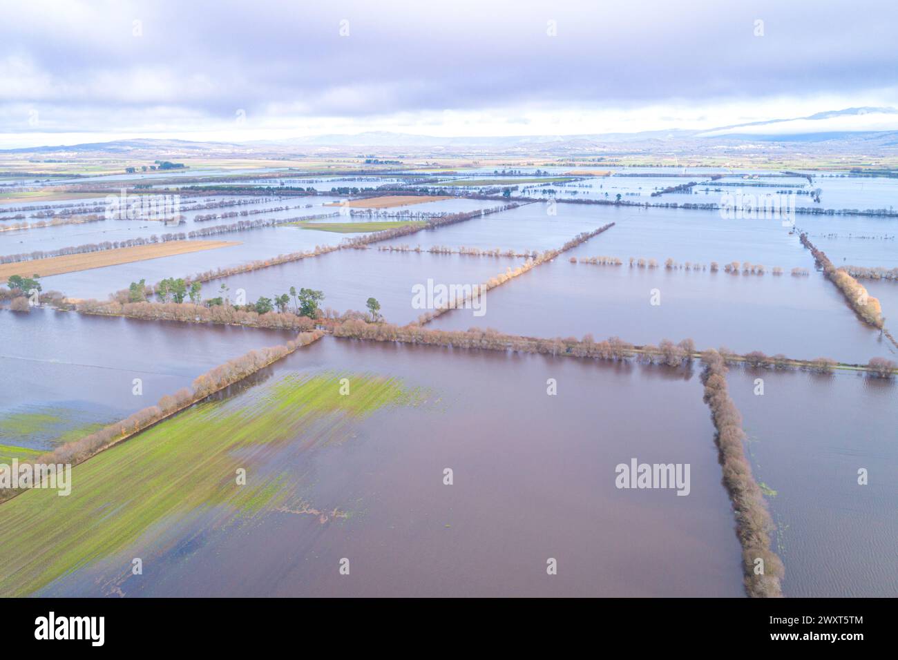 crop fields flooded by spring rains in the region of A Limia, Ourense ...