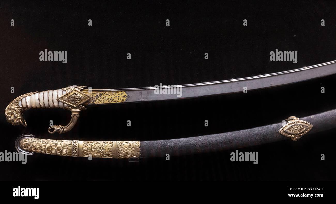 Ceremonial sabre of Napoleon Bonaparte, 1801, Moscow, State Historical ...