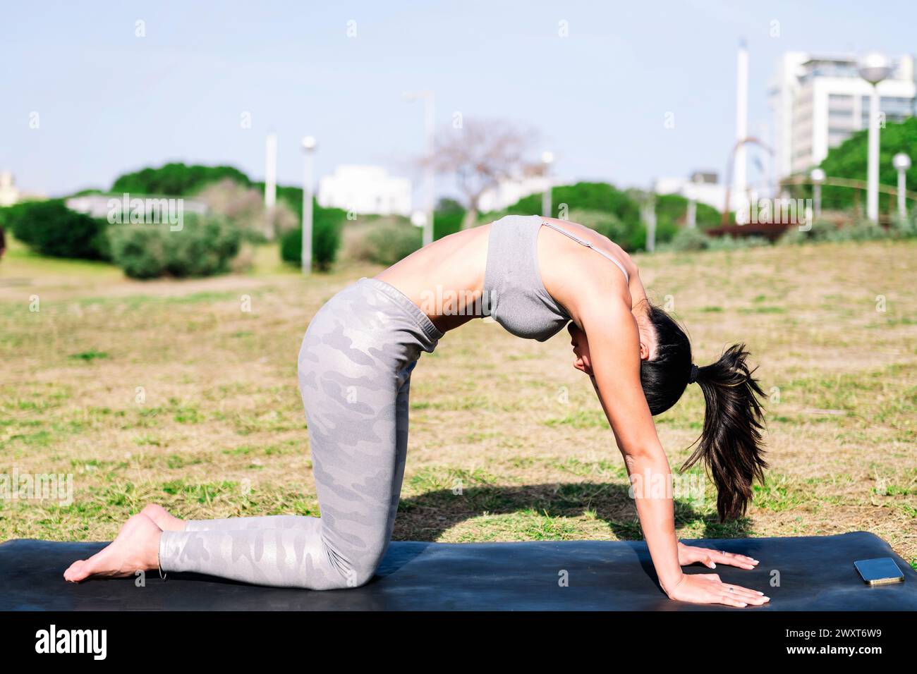 Young woman yoga cat hi-res stock photography and images - Alamy