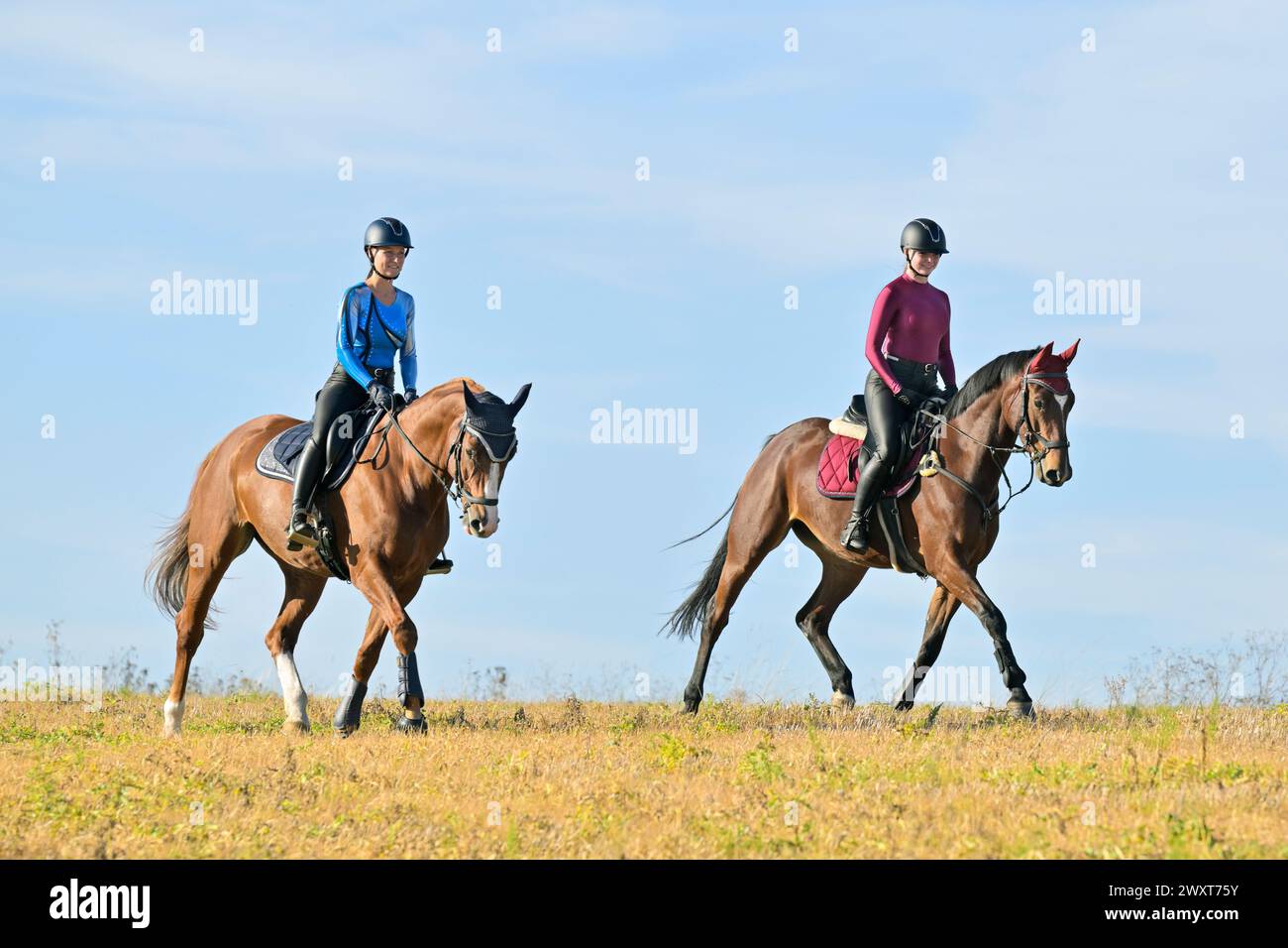 Horseback riders wearing a shiny leotard and faux leather riding ...