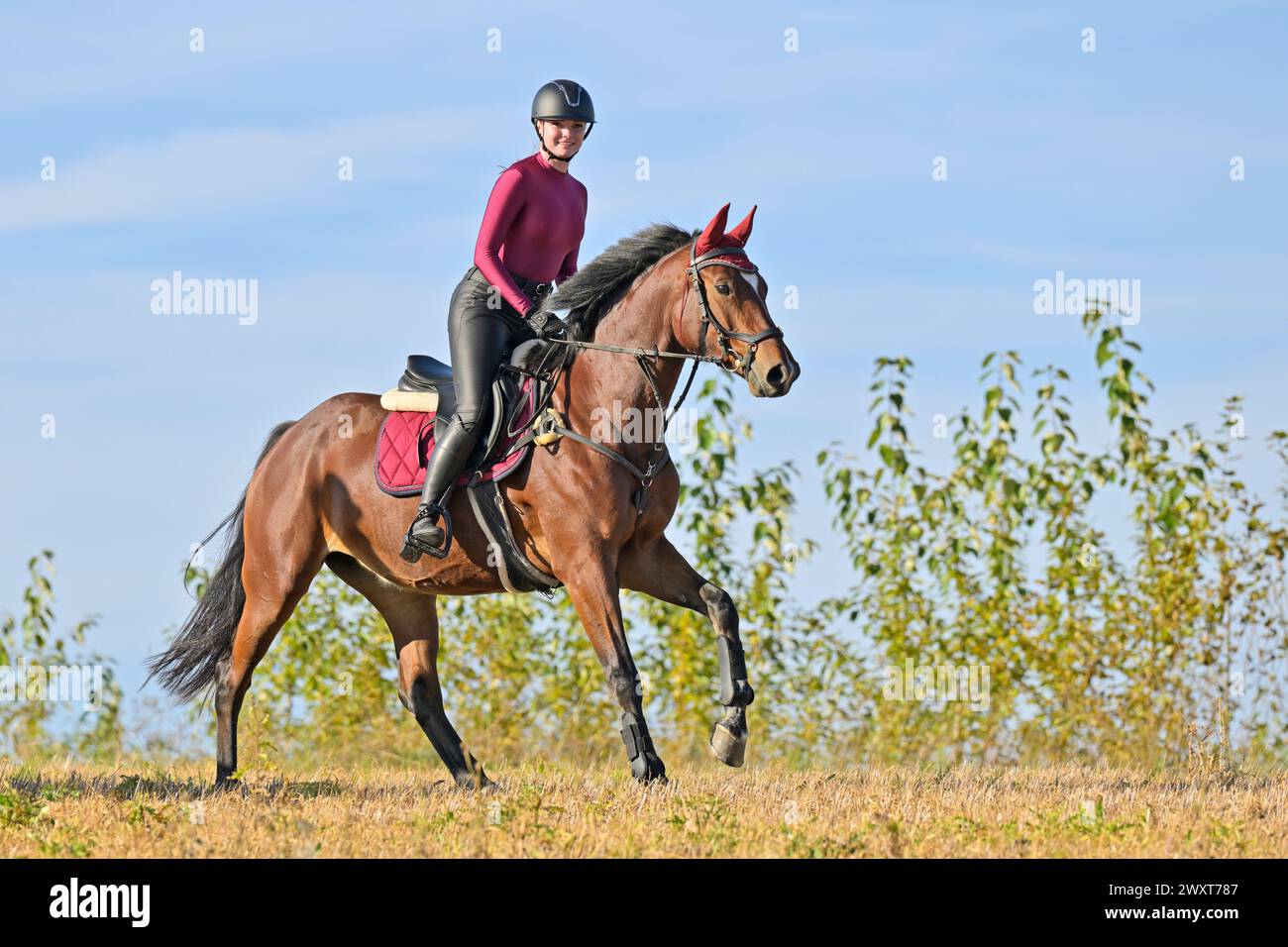 Horseback rider wearing a shiny leotard and faux leather riding ...