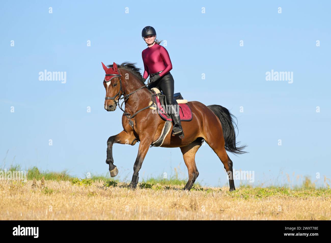 Horseback rider wearing a shiny leotard and faux leather riding ...