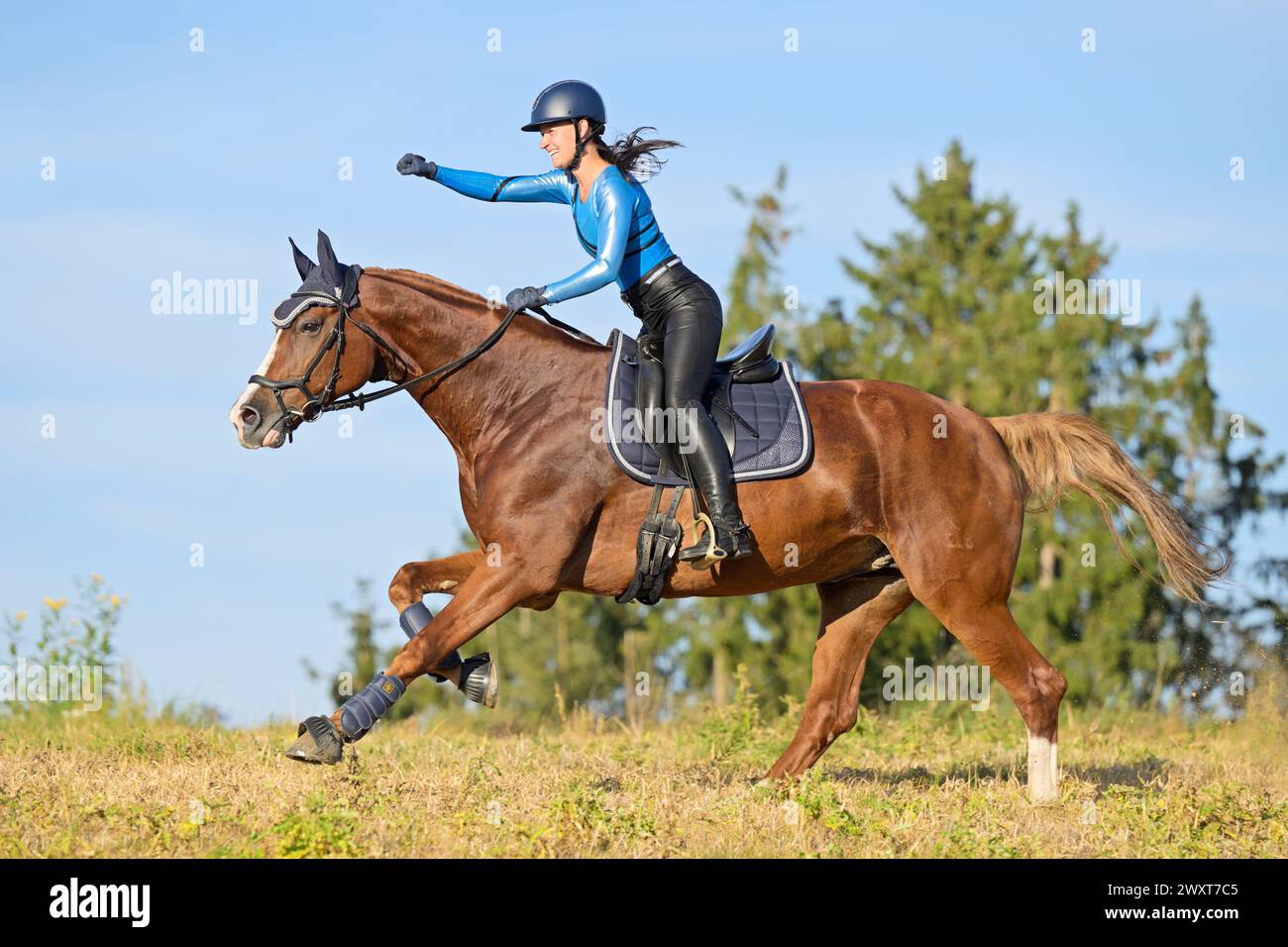 Horseback rider wearing a shiny leotard and faux leather riding ...